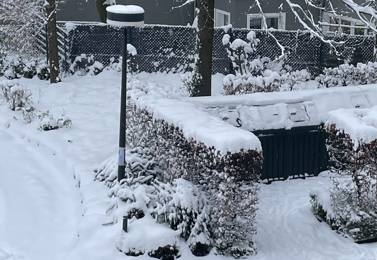 Einschränkungen bei der Abfallentsorgung - Baugenossenschaft dhu eG
